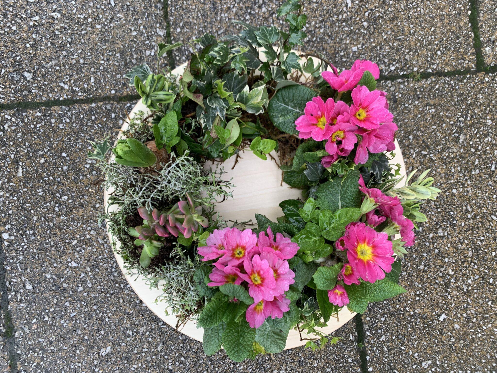 Living Eco Friendly Wreath – Choice of Colours – Enchanted Rose Florist